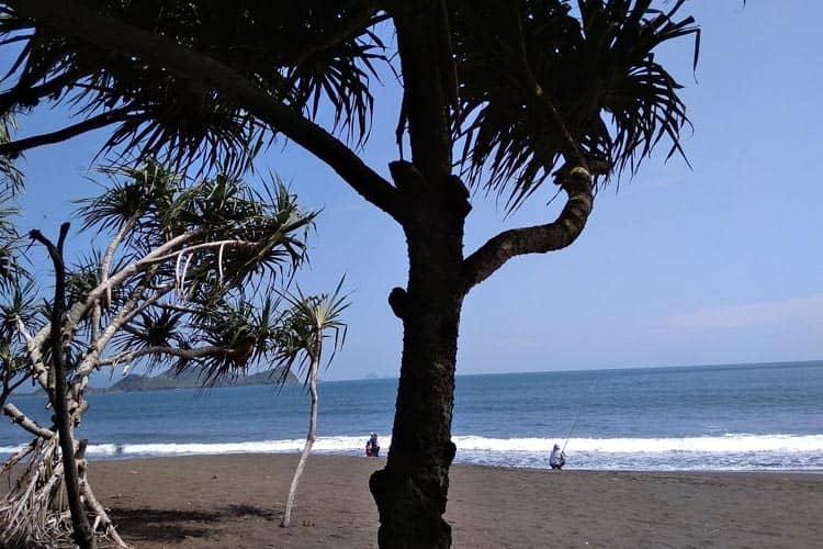 Pesona Keindahan dan Misteri Pantai Watu Ulo di Jember - TIMES Indonesia