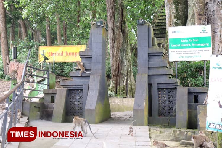 Menelisik Sejarah Wana Wisata Umbul Jumprit - TIMES Indonesia