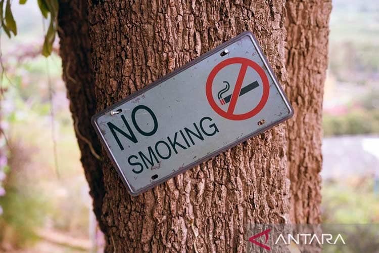 INFO GRAFIK: Angka Prevalensi Merokok pada Anak Menurun - TIMES Indonesia