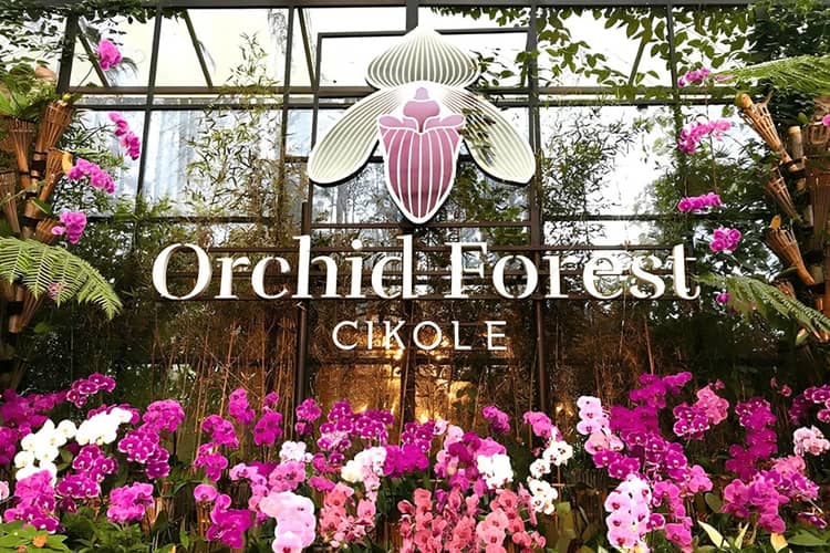 Orchid Forest Cikole: A Must Visit Family Destination in Lembang ...