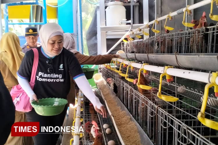 Dianggarkan Rp20 Triliun, Pemerintah Siap Bangun Pabrik Pakan Ternak ...